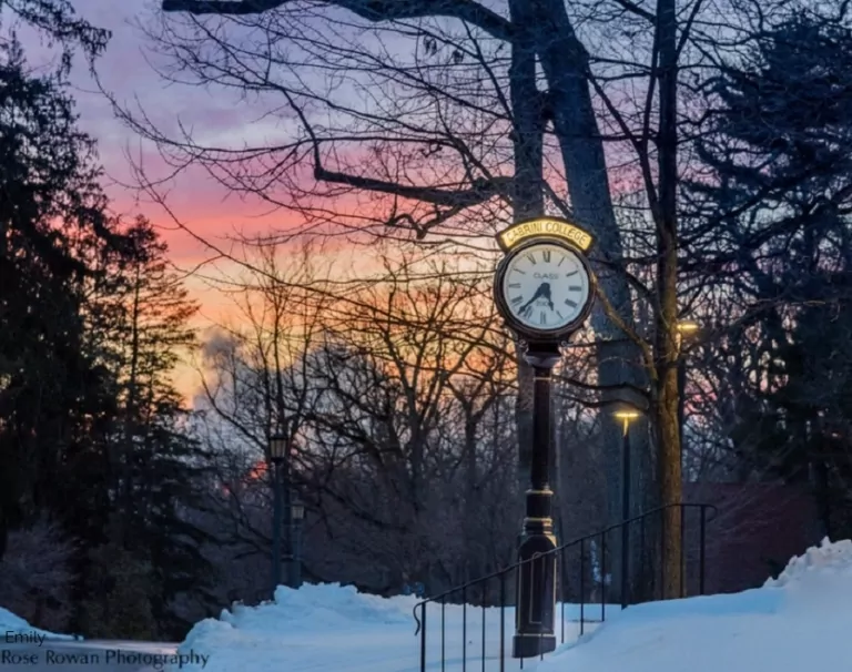 Post Clocks - The Verdin Company